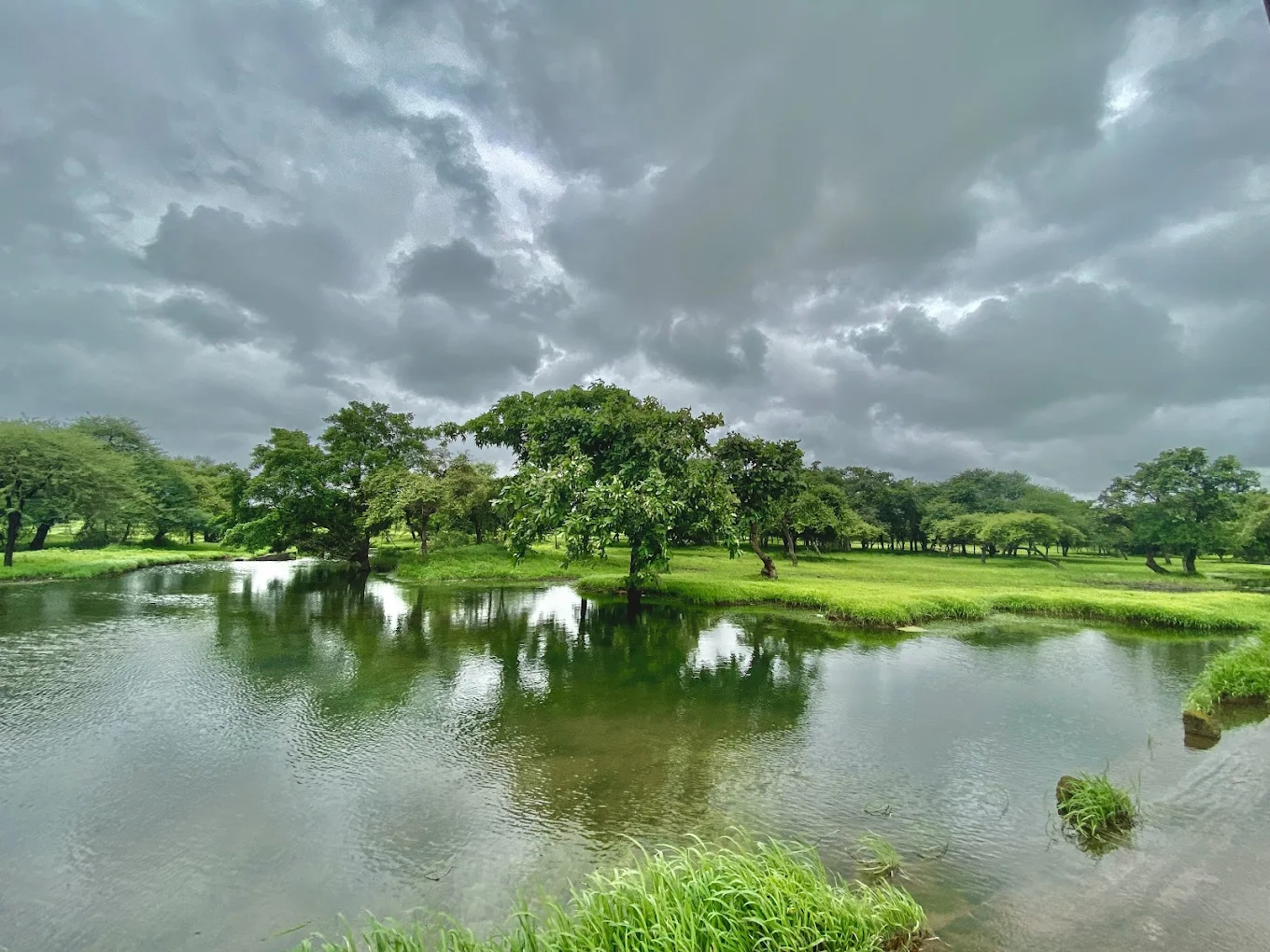 Devaliya Gir National Park